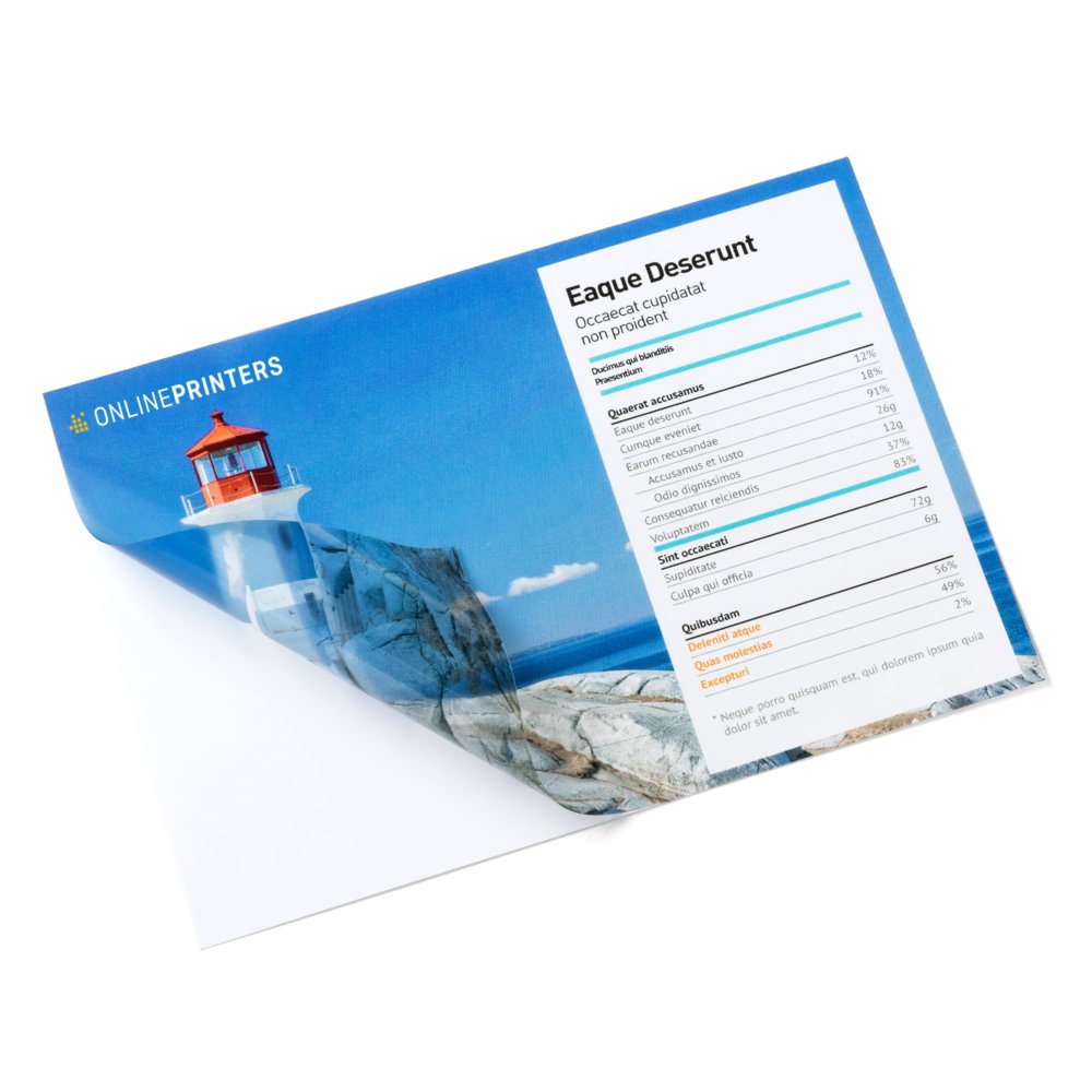 Maxi Format Electrostatic Stickers Printing | Onlineprinters