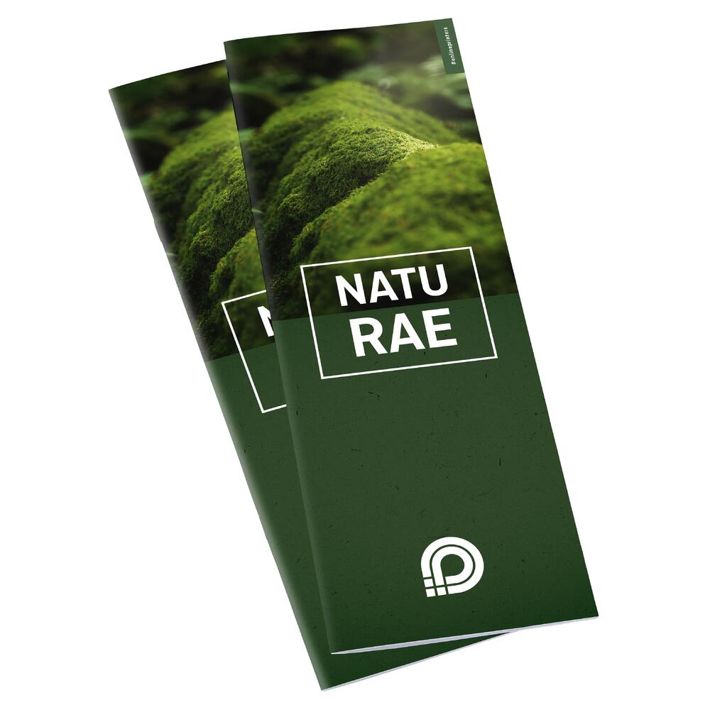 Brochures, eco/natural paper, portrait, A4 Half, A4-Half at Onlineprinters
