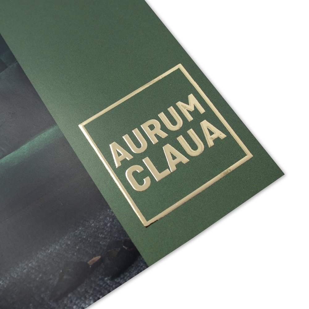 Flyers with spot hot foil stamping, 1/3 A4, 1/3 A4 at Onlineprinters